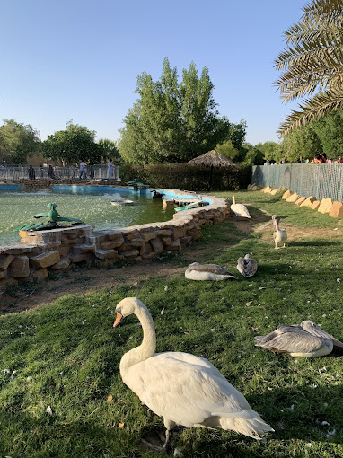 Riyadh Zoo: A Complete Guide for Your Visit